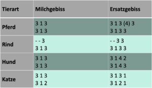Zahnformel nach Tierart – TFA für TFAs